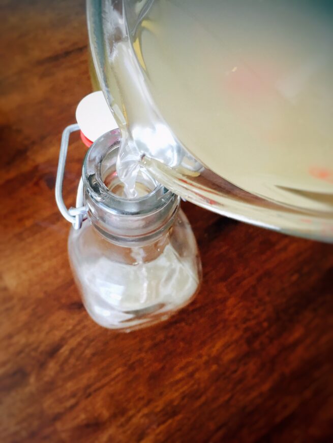 Probiotic Ginger Soda- fermented soda - elkeliving.com