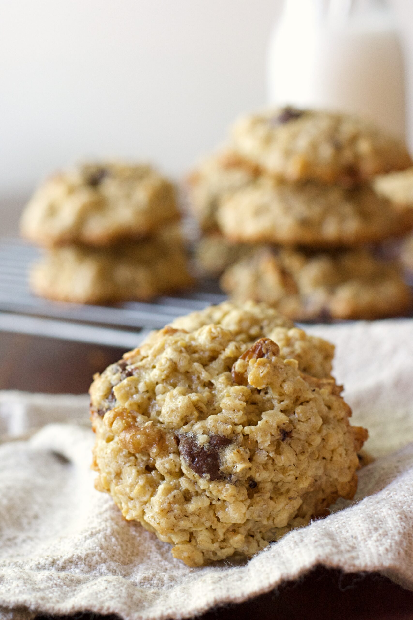 One Bowl Oatmeal Chocolate Chip Cookies - Elke Living